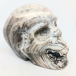 784g Dendrite Calcite Crystal Skull - Etsy
