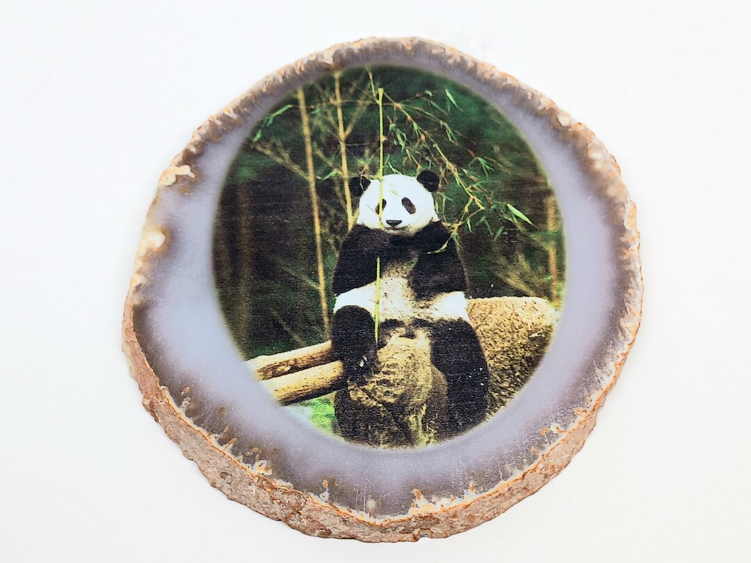 Hand Painted Panda Agate Crystal Slice - Etsy
