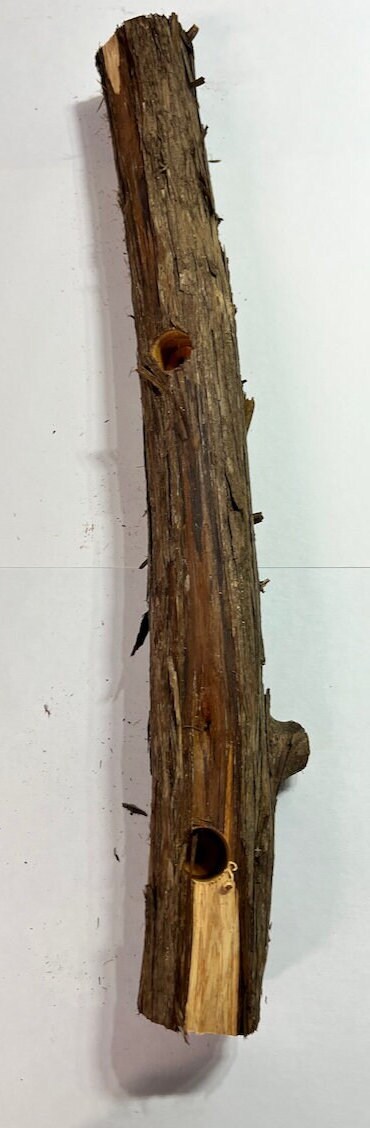 Suet Log Made From Real Raw Juniper Wood (bark Still Attached) - Etsy