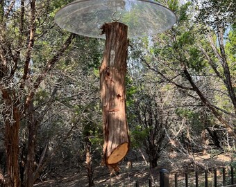 Suet Log Made From Real Raw Juniper Wood (bark Still Attached) - Etsy