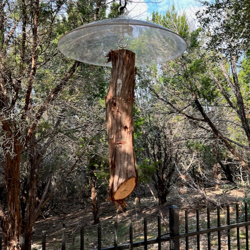 Log Bird Feeder - Etsy