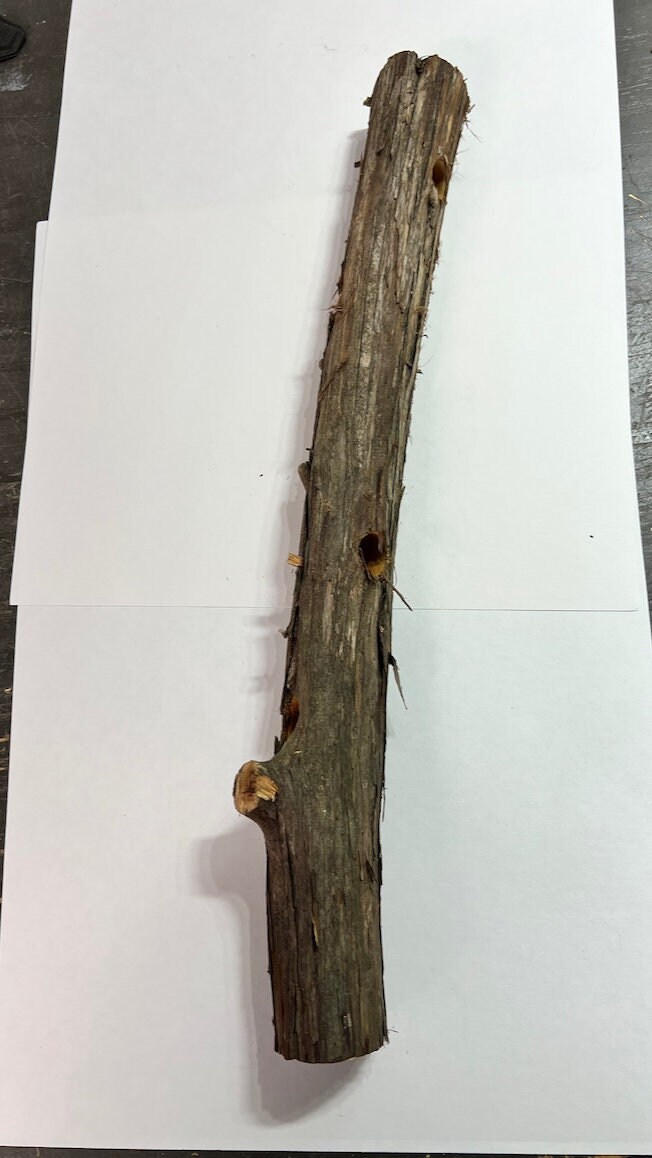 Suet Log Made From Real Raw Juniper Wood (bark Still Attached) - Etsy