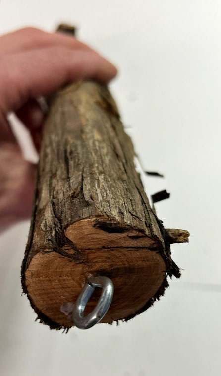 Suet Log Made From Real Raw Juniper Wood (bark Still Attached) - Etsy