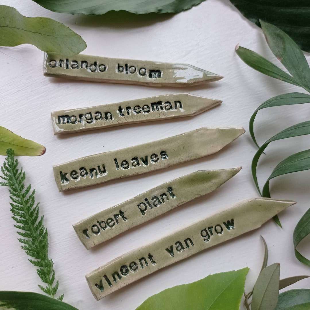 Funny Pun Names for House Plant on Ceramic Plant Marker / Stakes Garden ...