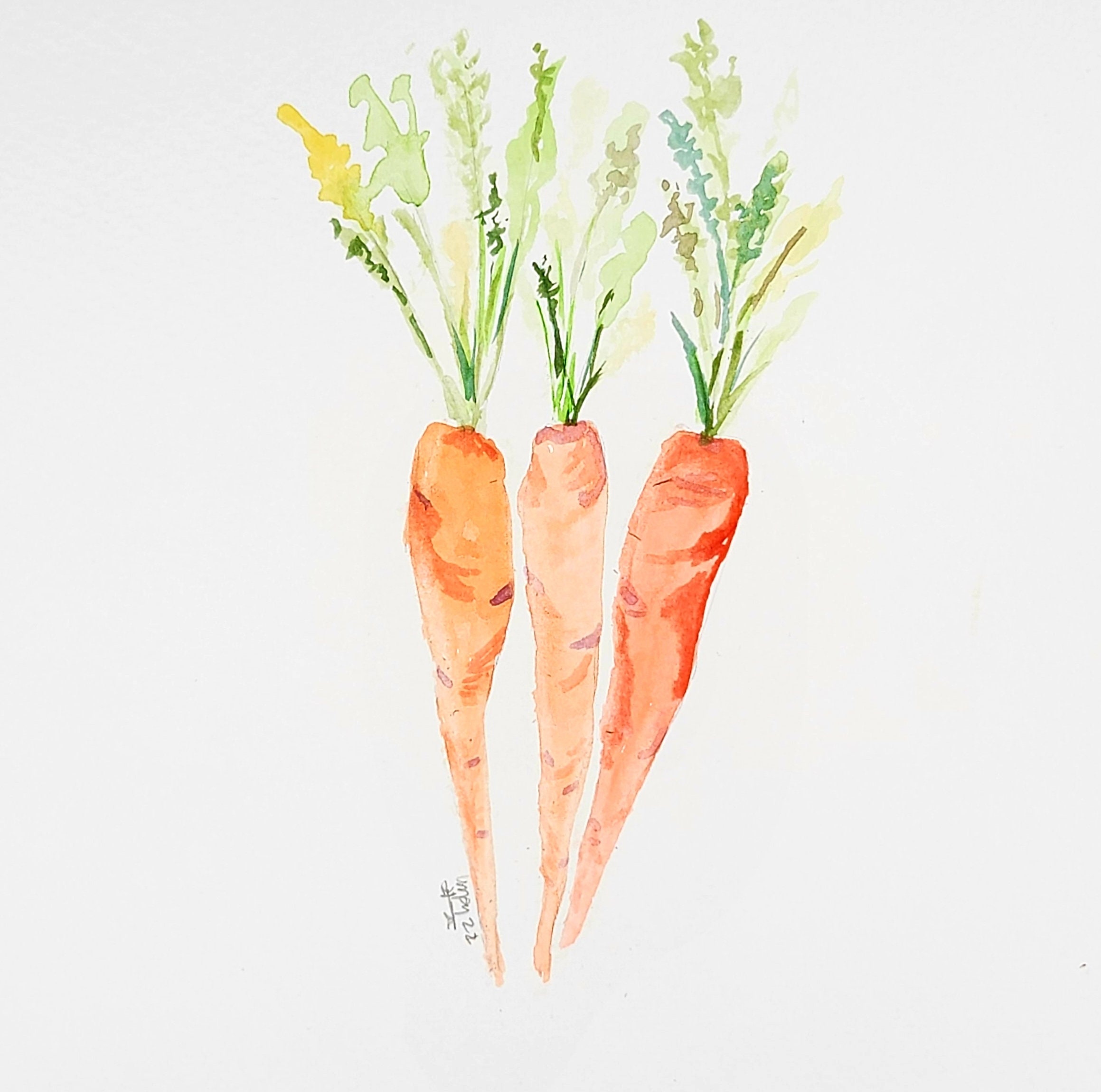 Trio of Carrots, Watercolor Painting Wall Art - Etsy