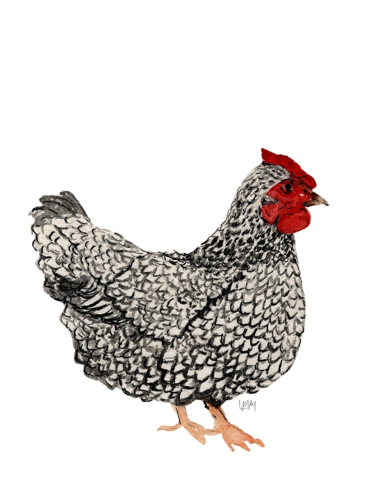 Art Easel Clipart Black And White Hen