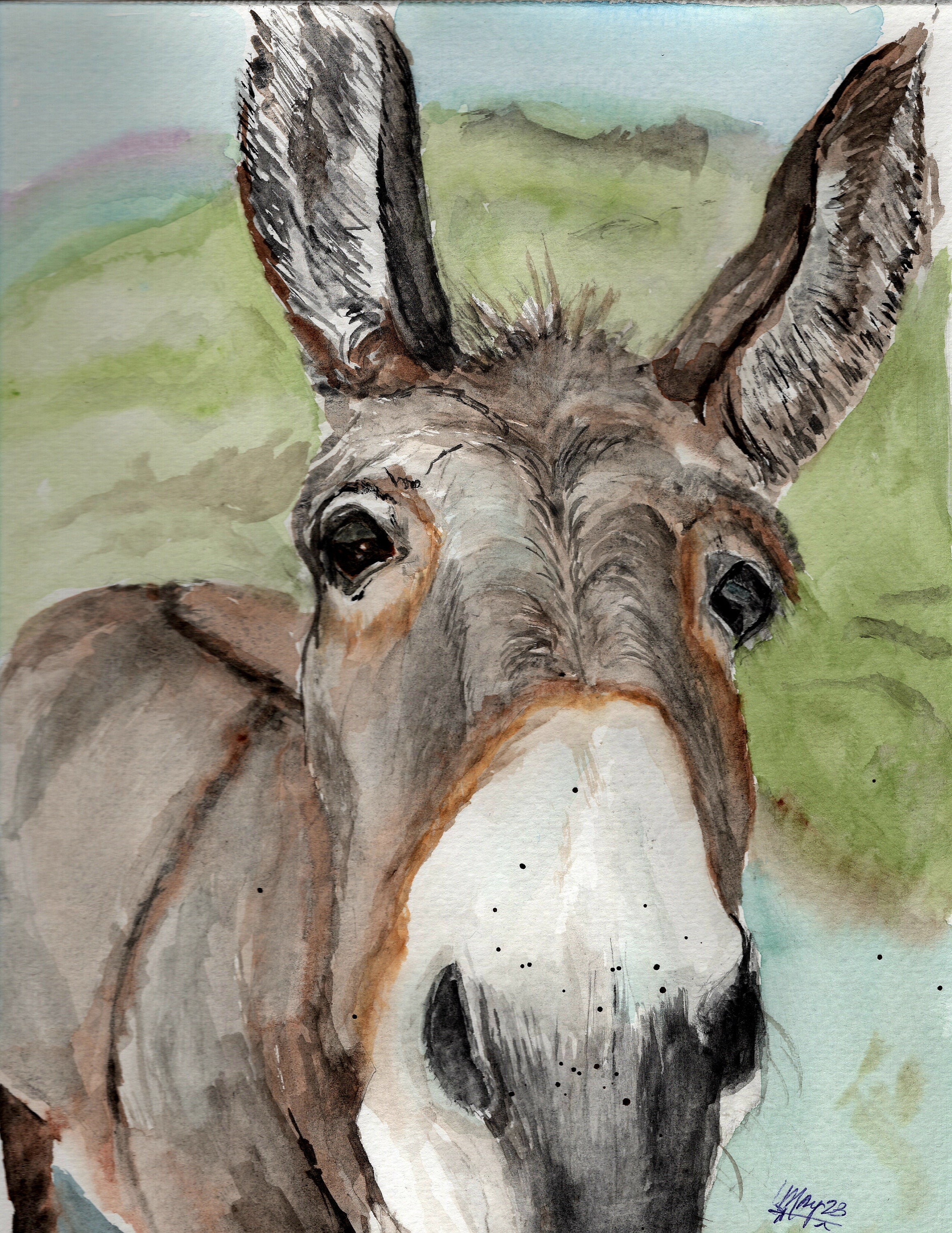 Inquisitive Donkey Watercolor Painting, Watercolor Print, Wall Art - Etsy