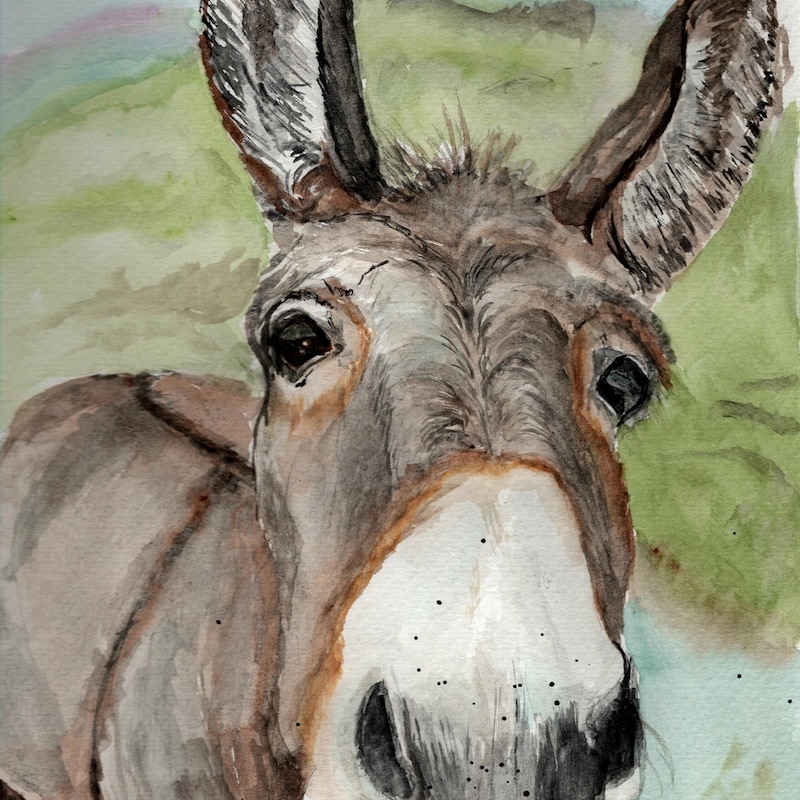 Donkey Paintings - Etsy