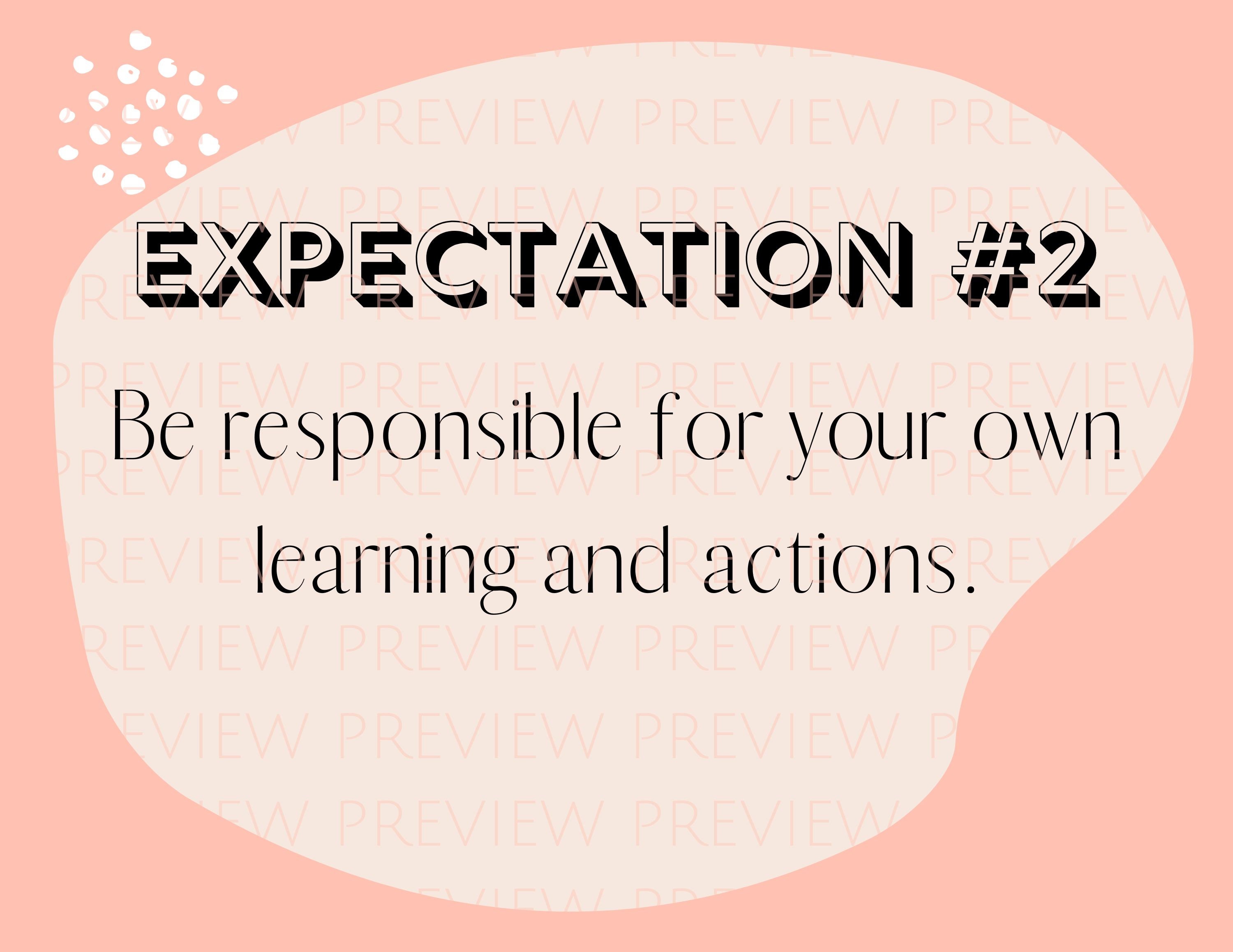 Classroom Expectations Posters, Signs, Boho Modern Rules, Printable ...