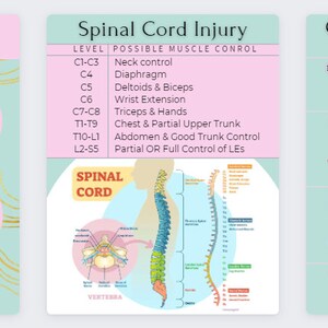 OT Quick Reference Guide - Etsy
