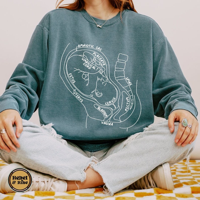 Pregnancy Female Anatomy During Pregnancy T-shirt, Fetus in Utero ...