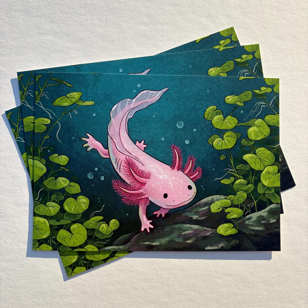 Axolotl Art Print // 5x7 Inches, Gift, Wall Decoration, Postcard ...