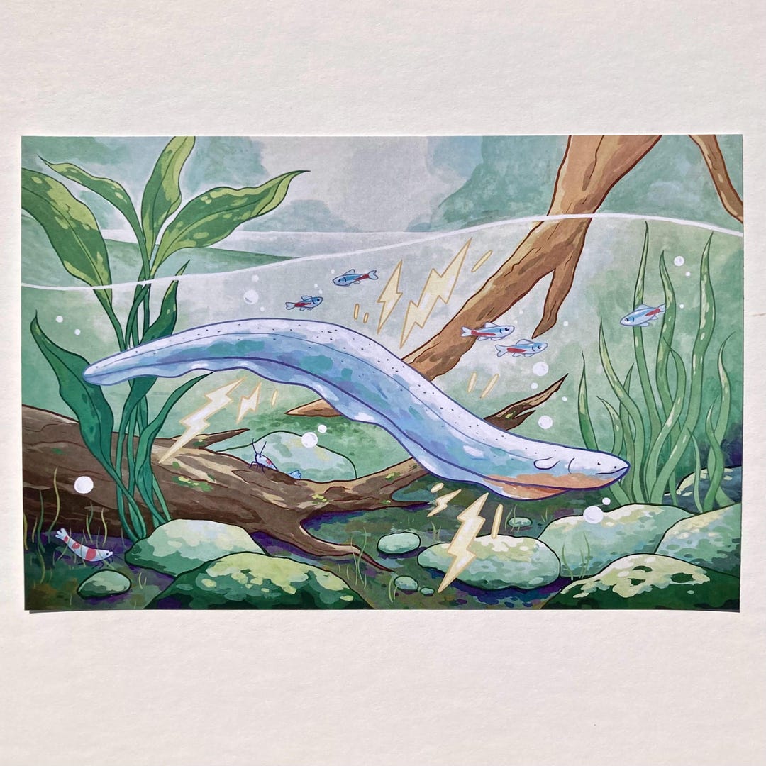 Electric Eel Art Print // 10.5 X 7 Inches, Gift, Wall Decoration ...