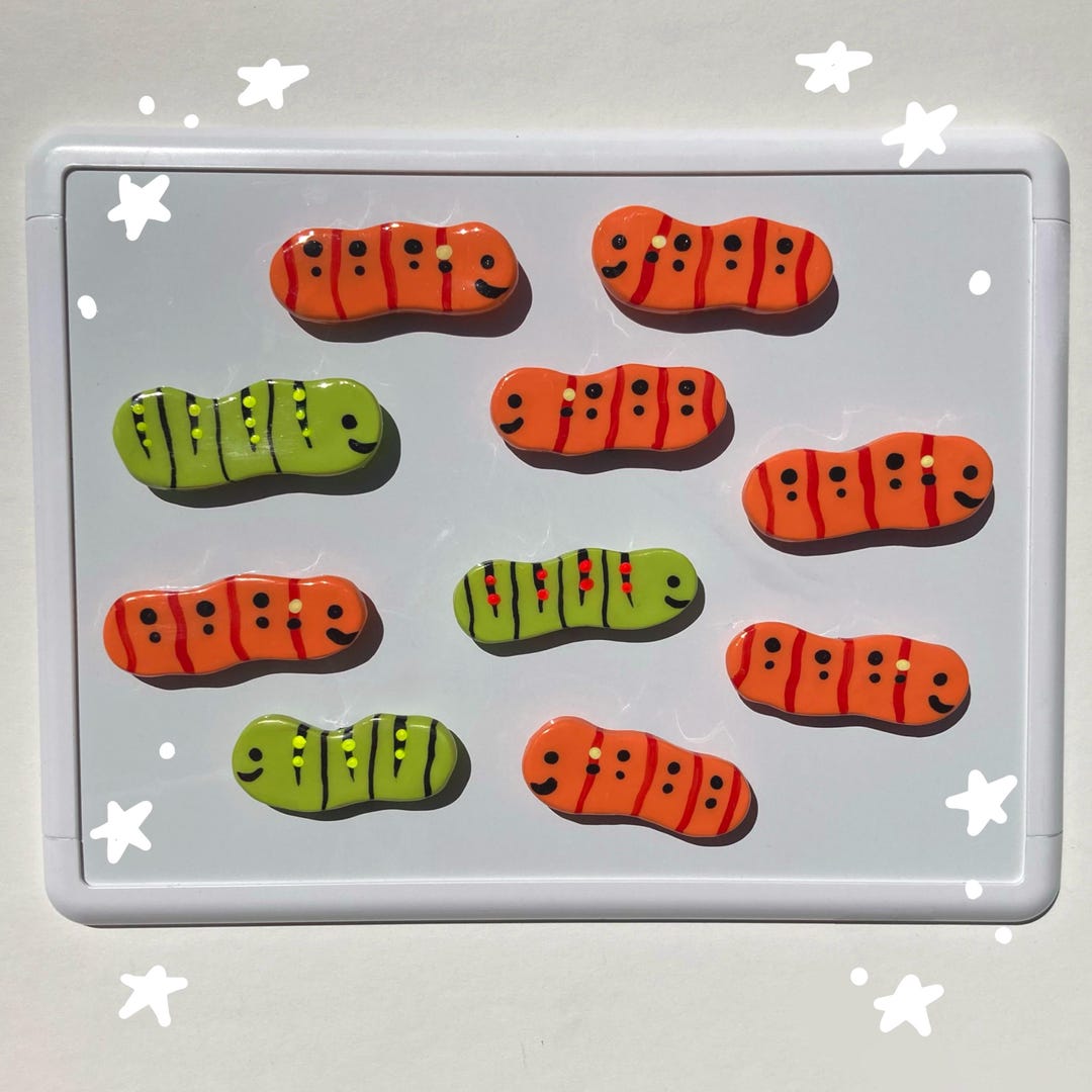 Caterpillar Magnet // Caterpillar, Cute Fridge Magnet, Handmade ...