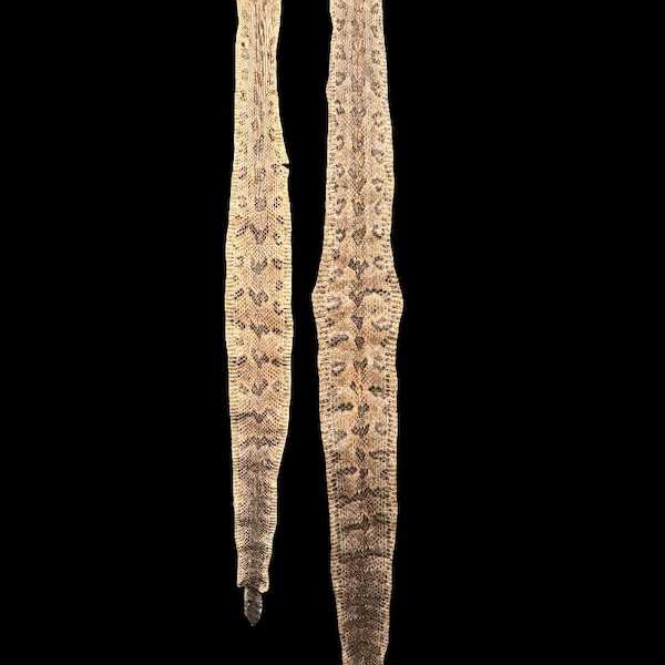 Rattlesnake Skin - Etsy