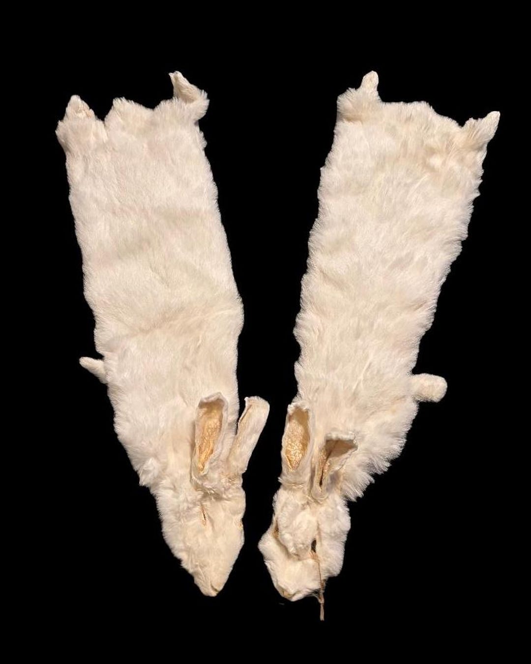 Jumbo White Rabbit Pelt - Etsy