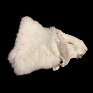 Large Mountable Rabbit Cape - Etsy