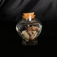 Wet Specimen - Etsy