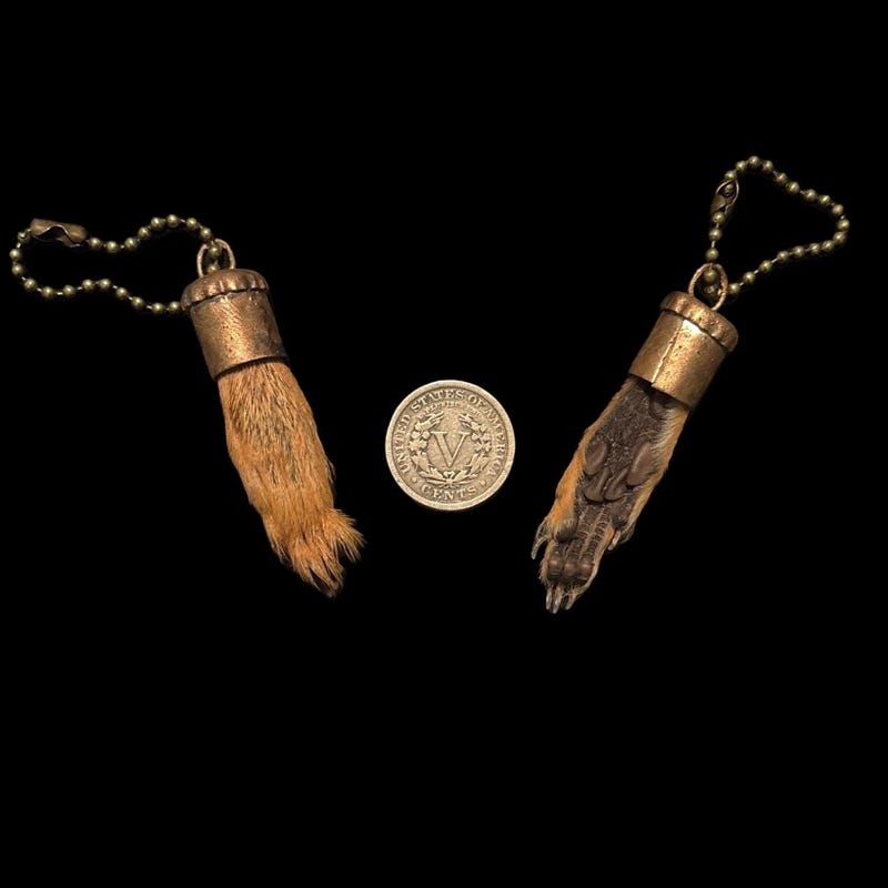 Squirrel Feet - Etsy