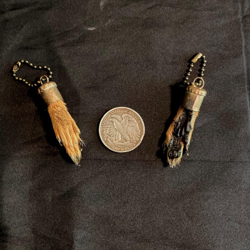 Squirrel Feet - Etsy