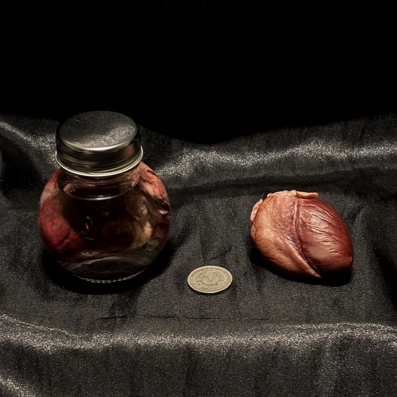 Wet Specimens Heart Jar - Etsy