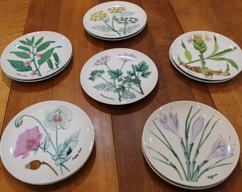 Botanical Plates | Etsy
