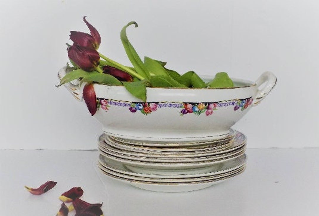 Rare Antique French Dinnerware Set 10 Pieces From St Amand Les Eaux ...