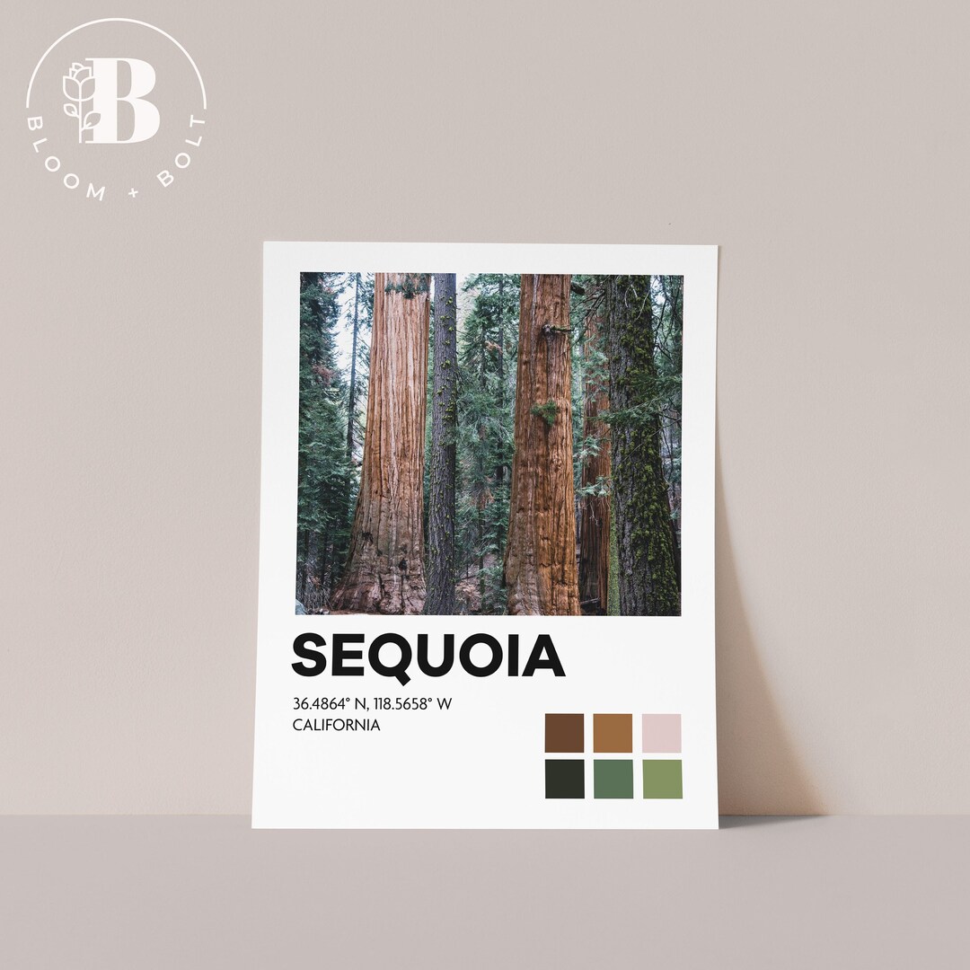 Sequoia National Park Poster Digital Download National Park Prints ...