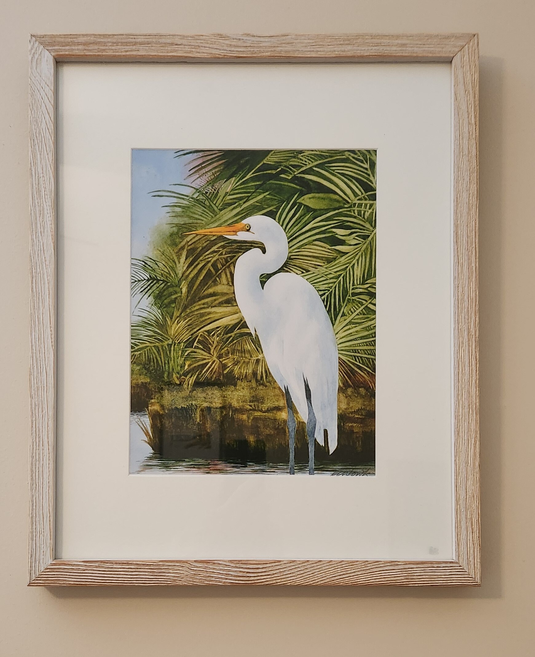 Great White Egret Fine Art Print-fine Art Print of Great White Egret ...