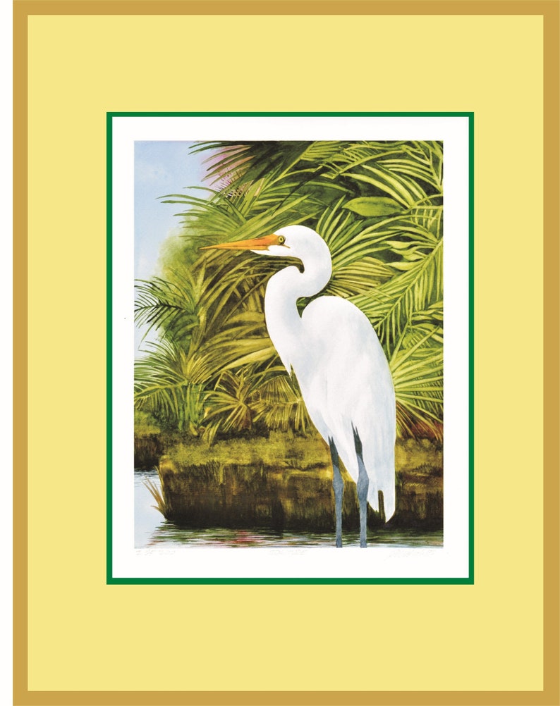 Great White Egret Fine Art Print-fine Art Print of Great White Egret ...