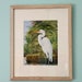 Great White Egret Fine Art Print-fine Art Print of Great White Egret ...