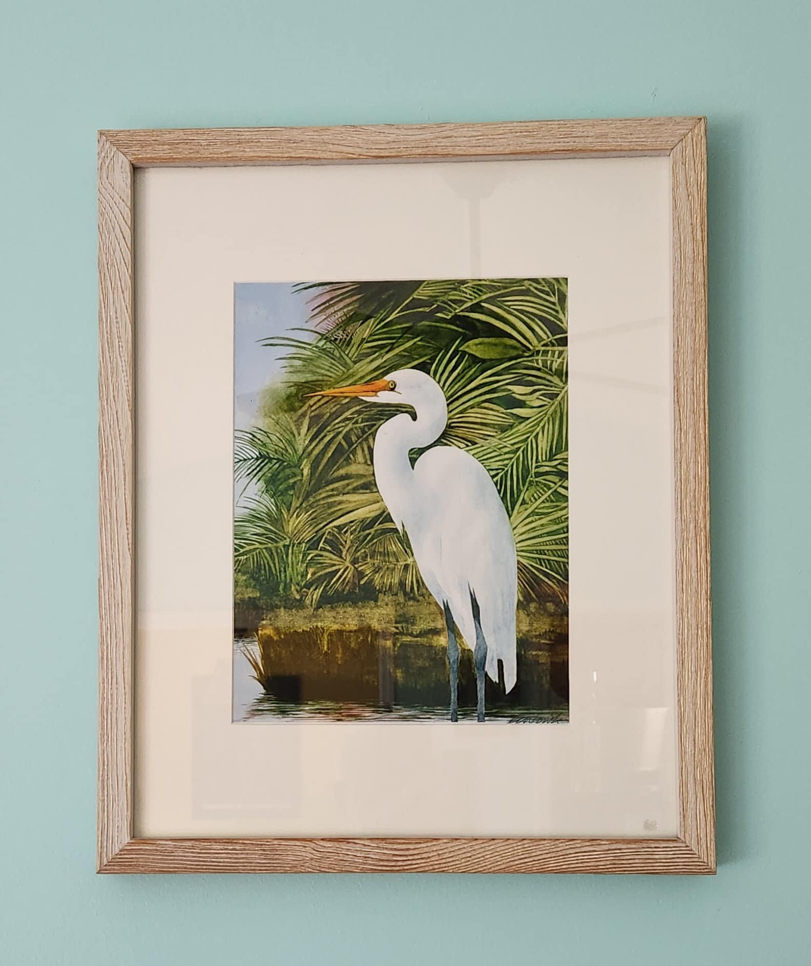 Great White Egret Fine Art Print-fine Art Print of Great White Egret ...