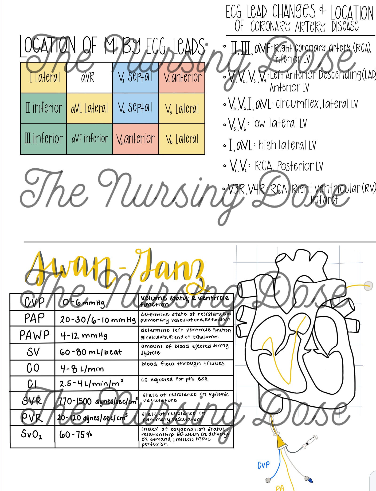 CCRN Cardiovascular Notes - Etsy