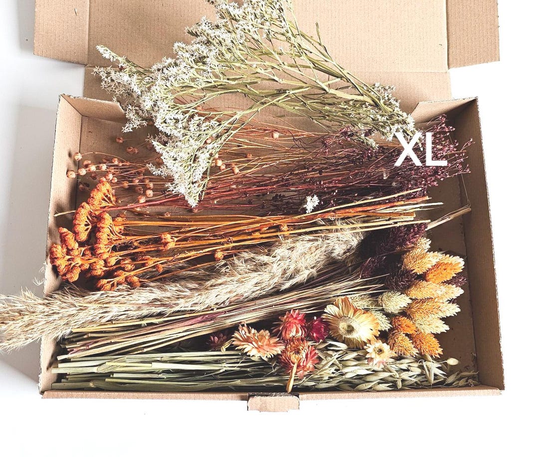 Dried Flower DIY Kit in Orange-brown | Flower Craft Box | Dried Flower ...