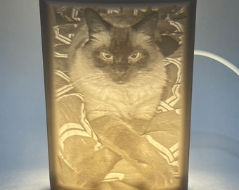 Lithoframe - Custom LED Light up Photo Frame Lithophane - Etsy