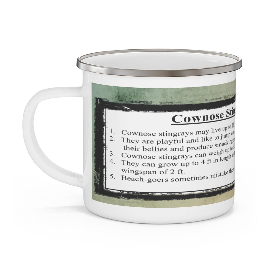 Cownose Stingray Enamel Campfire Mug, Fun Fact Adventure Mug - Etsy