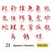 40 Red Japanese Kanji Martial Arts Words: 300dpi JPG/PNG/SVG Bundle ...