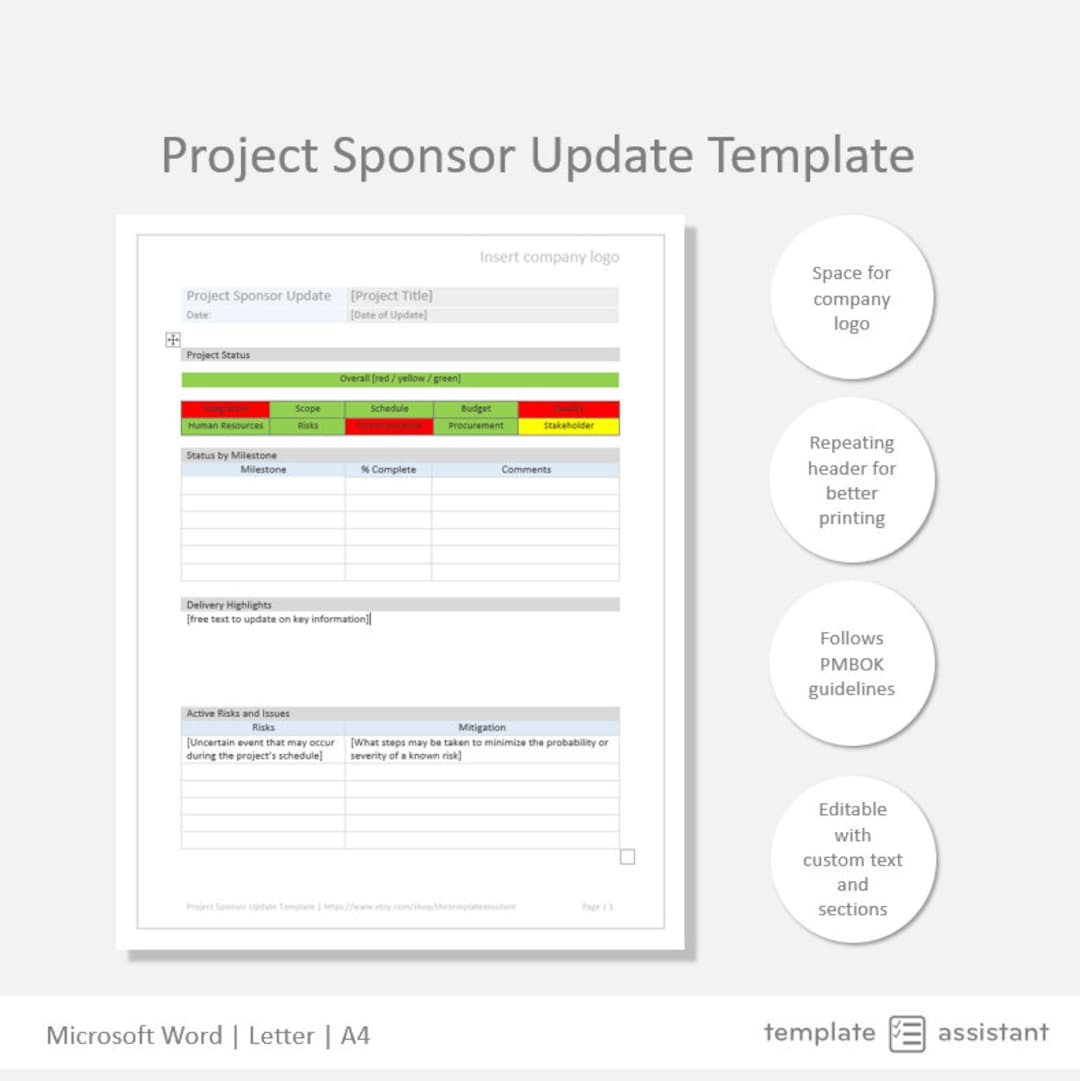 Project Sponsor Update Project Management Template Digital Download - Etsy