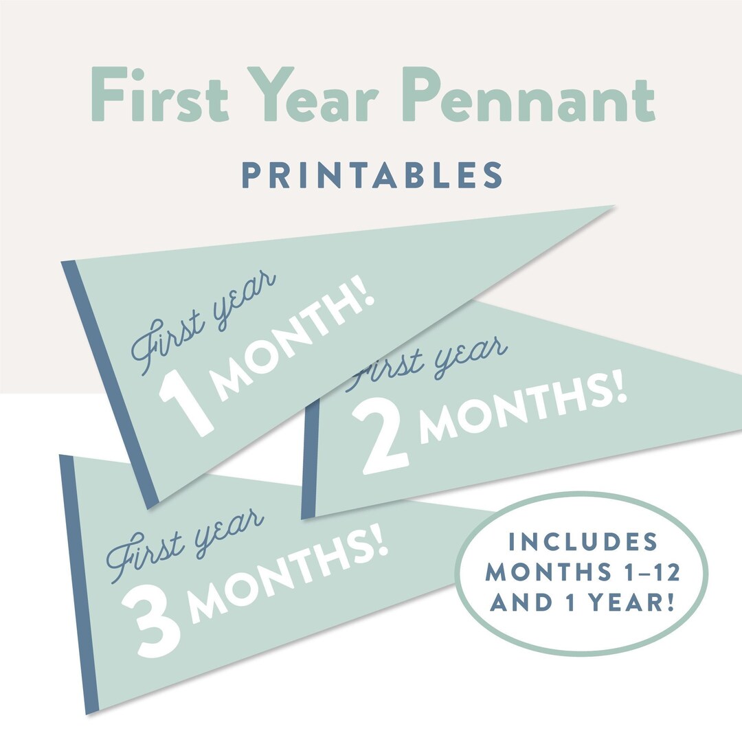 Baby Monthly Milestone Photo Printable, First Year Pennant Flags for ...