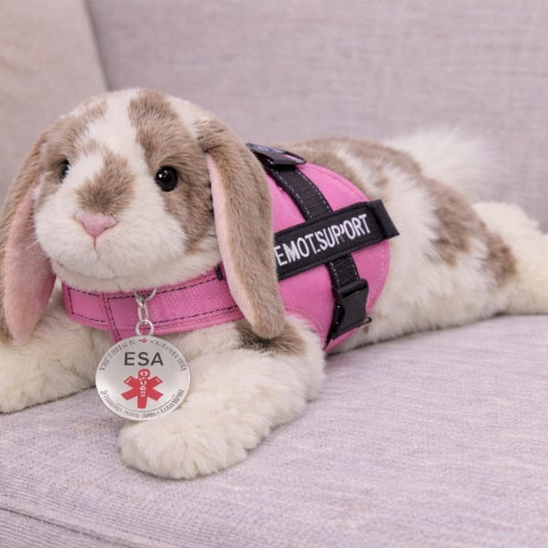 Essa Dog Stuffed Animal - Etsy