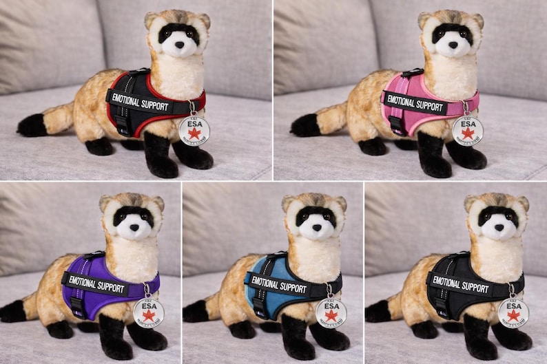 ESSA Ferret Emotional Support Plush Stuffed Animal - Etsy