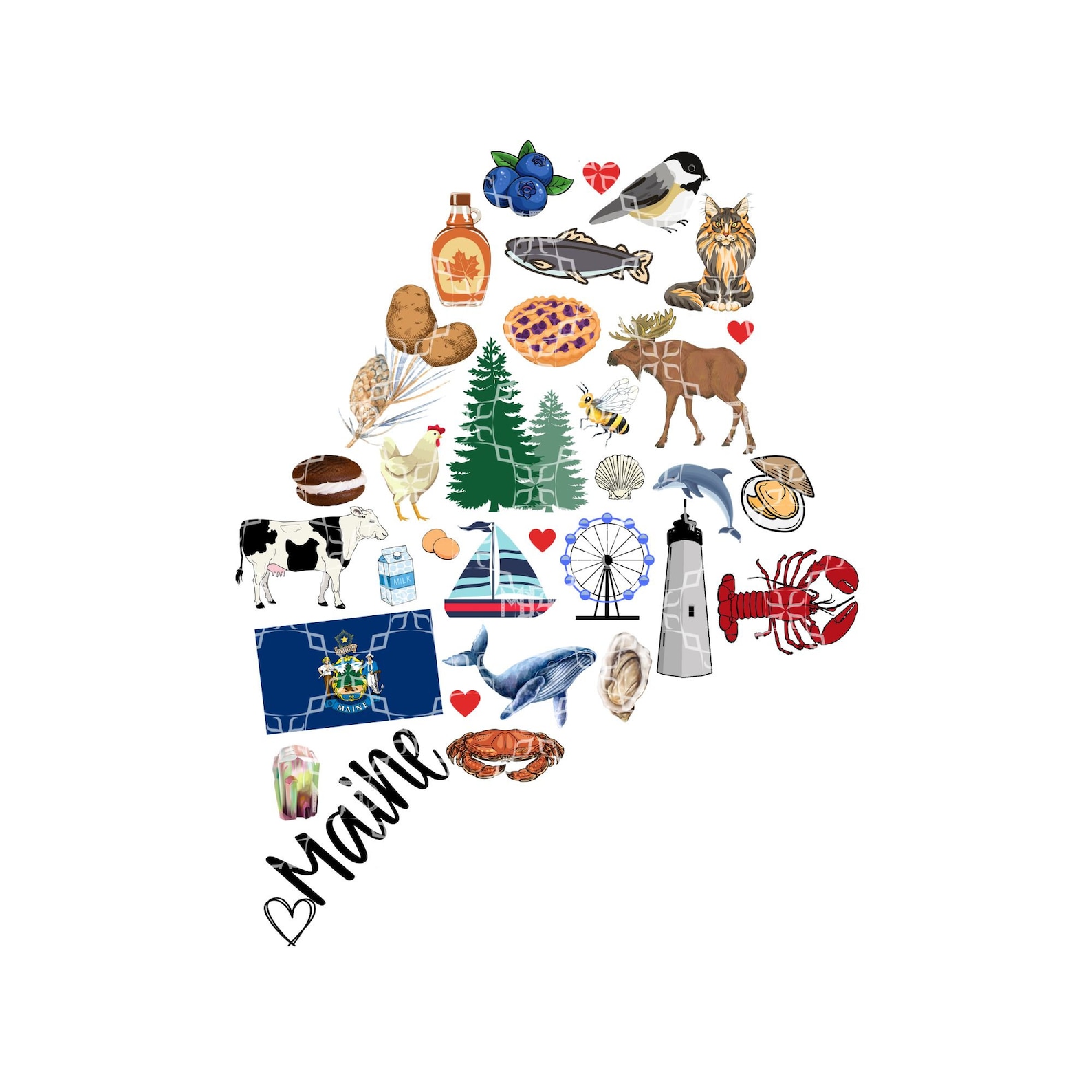 Maine PNG, State of Maine Symbols Digital Download, the Pine Tree State ...