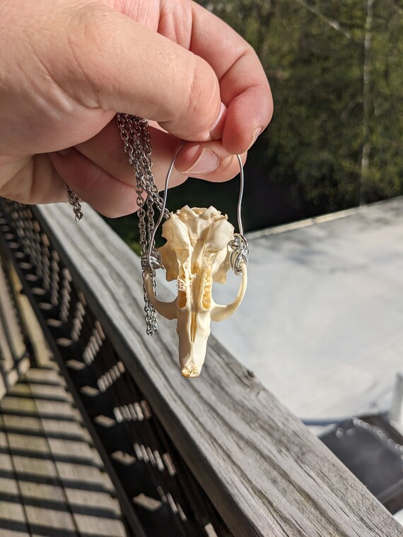 Muskrat Skull Necklace