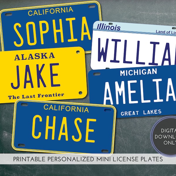 Mini License Plate Sticker Digital - Etsy