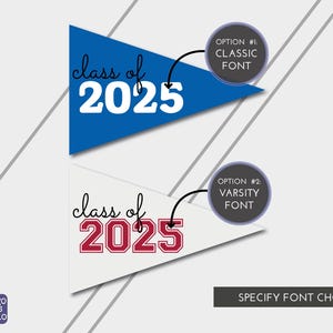 Custom Graduation Class of 2025 Pennant Flags and Mini Flags ...