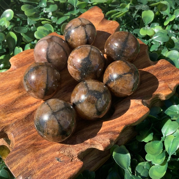 Chiastolite - Etsy