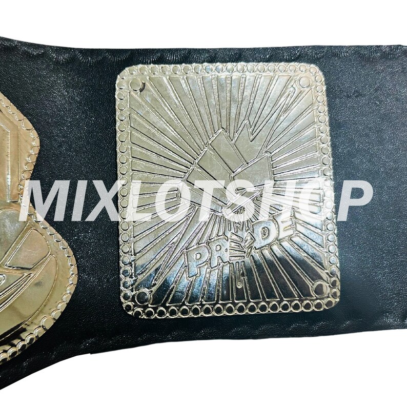 Pride Heavyweight Championship Wrestling Belt Zinc Title With Leather ...