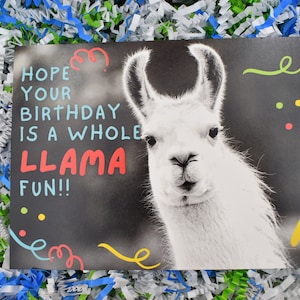 Birthday Gift, Llama Birthday Gift, Birthday Package, Happy Birthday - Etsy
