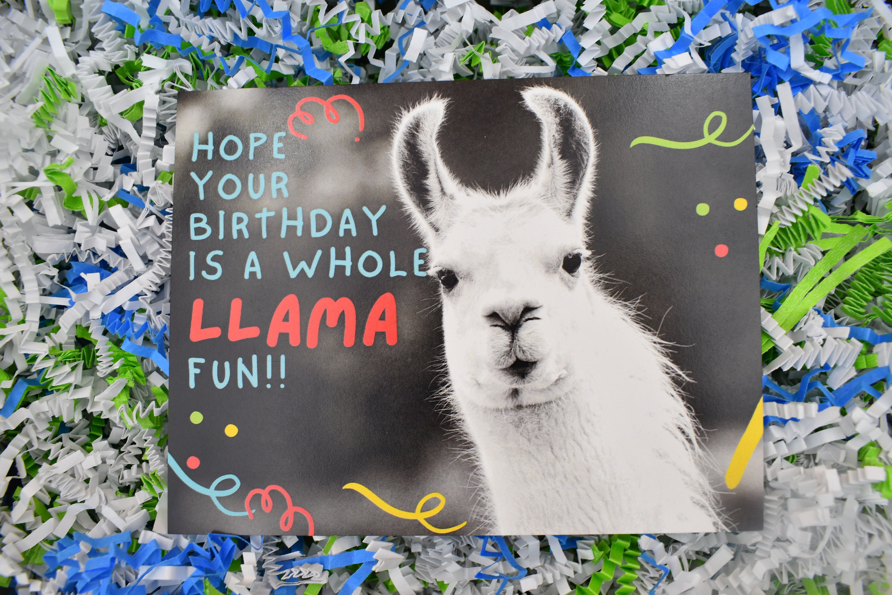 Birthday Gift, Llama Birthday Gift, Birthday Package, Happy Birthday - Etsy