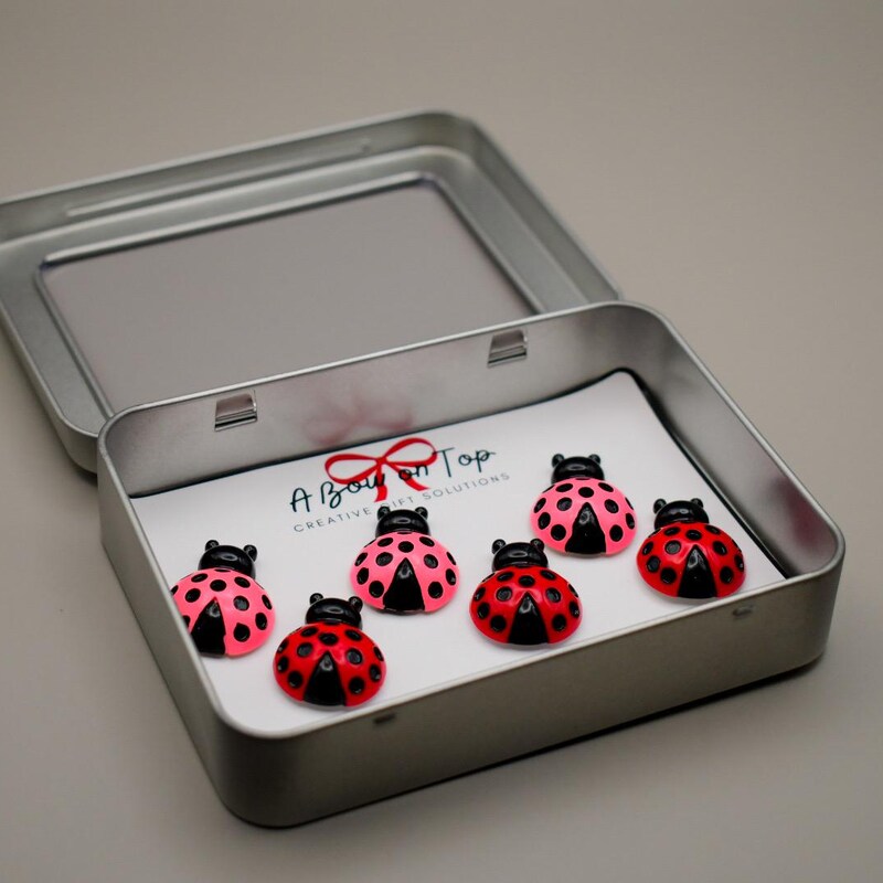 Ladybug House - Etsy